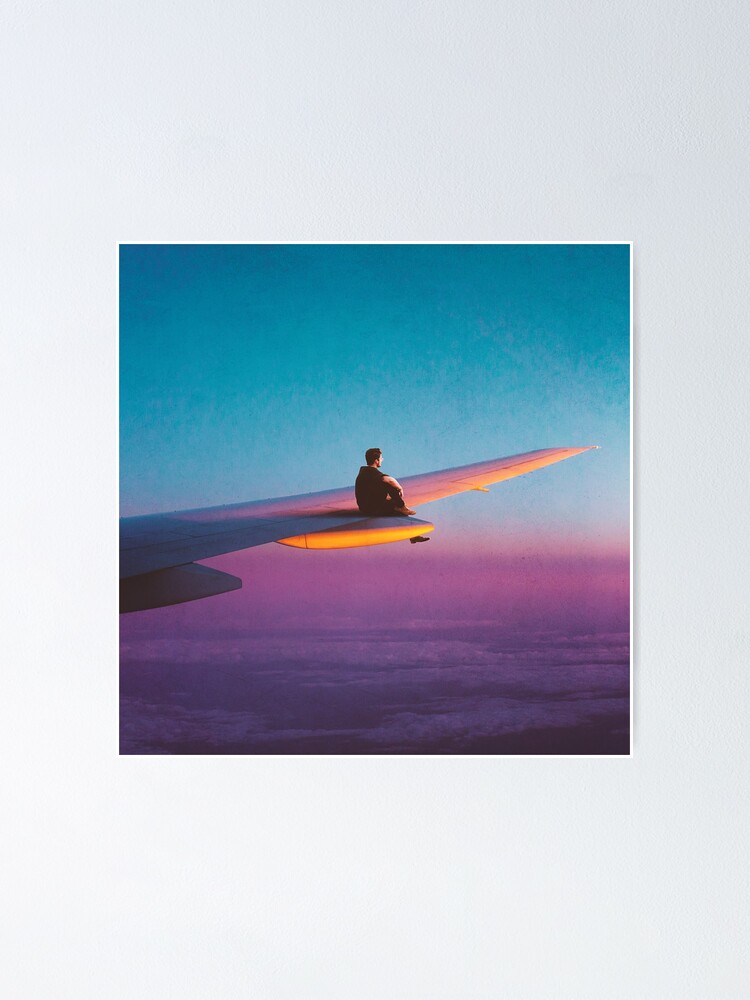 "Flying Solo" Poster for Sale by seamless | Redbubble