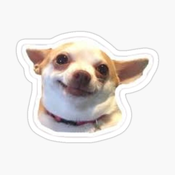 "wonder dog meme" Sticker for Sale by Mohamed-Ayman77 | Redbubble