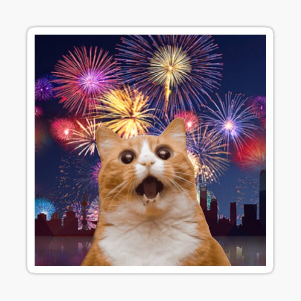 "cat watching fireworks" Sticker for Sale by liro52 | Redbubble