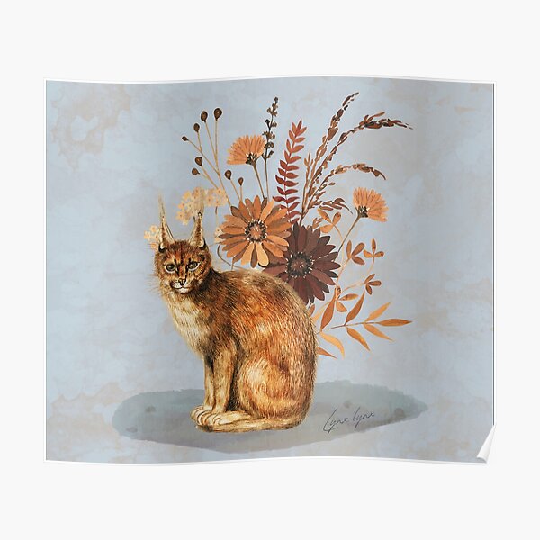 "Eurasian lynx (Lynx lynx)" Poster for Sale by musicora | Redbubble