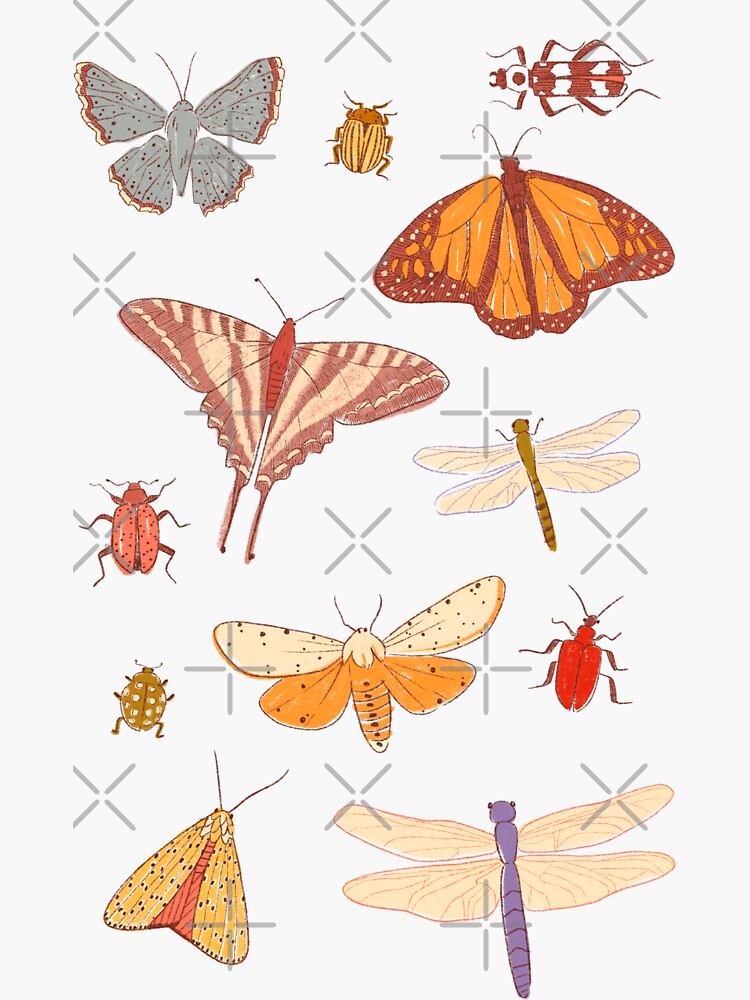 "Retro Butterflies, Beetles, and other Bugs" Sticker for Sale by ...