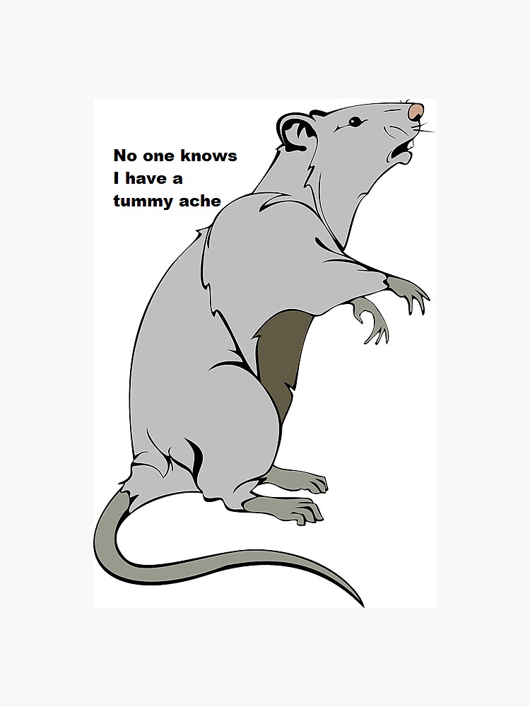"Rat Soldier" Sticker for Sale by NotAHomegoods | Redbubble