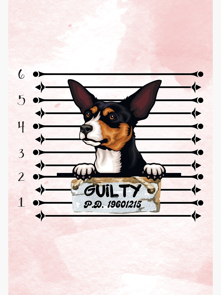 "Toy Fox Terrier is guilty" Sticker for Sale by Bellemolly | Redbubble
