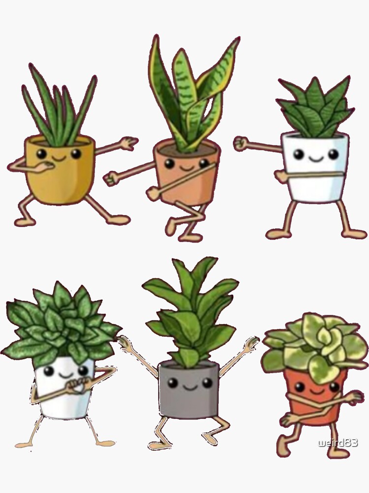"Cute dancing plants Plant hoarder House plants potting soil leafy ...