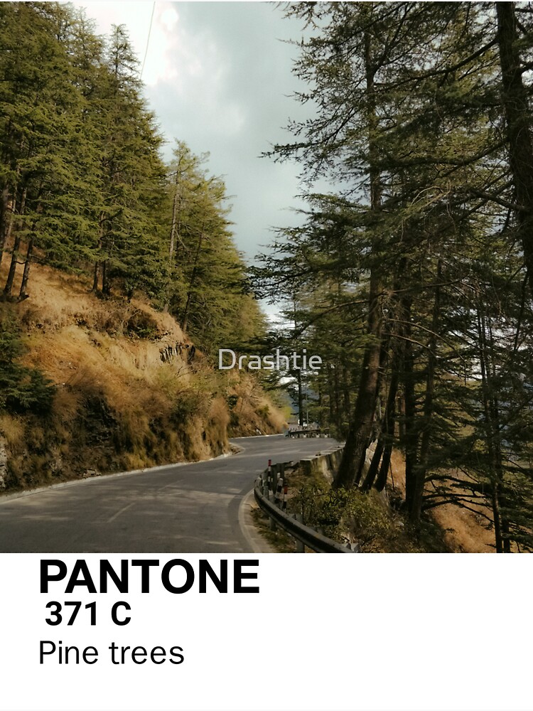 "Pantone pine tree sticker" Sticker for Sale by Drashtie | Redbubble