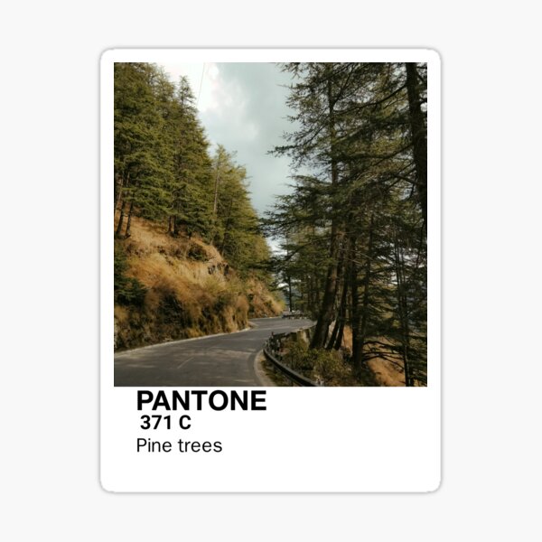 "Pantone pine tree sticker" Sticker for Sale by Drashtie | Redbubble