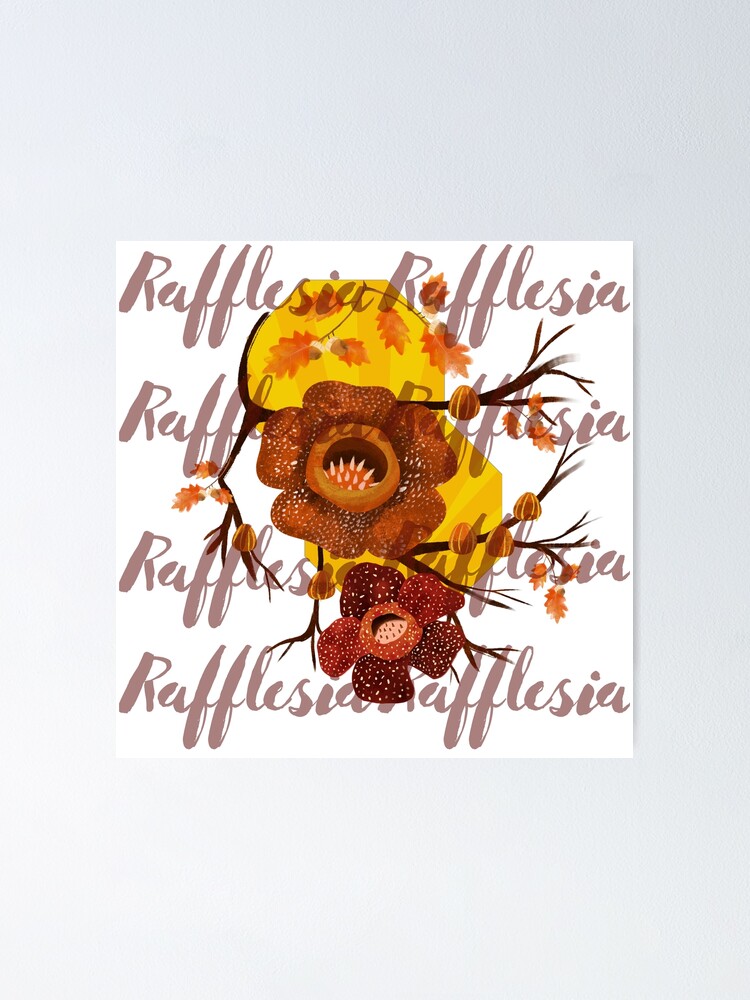 " RAFFLESIA BEAU" Poster for Sale by GoMoni | Redbubble
