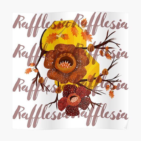 " RAFFLESIA BEAU" Poster for Sale by GoMoni | Redbubble