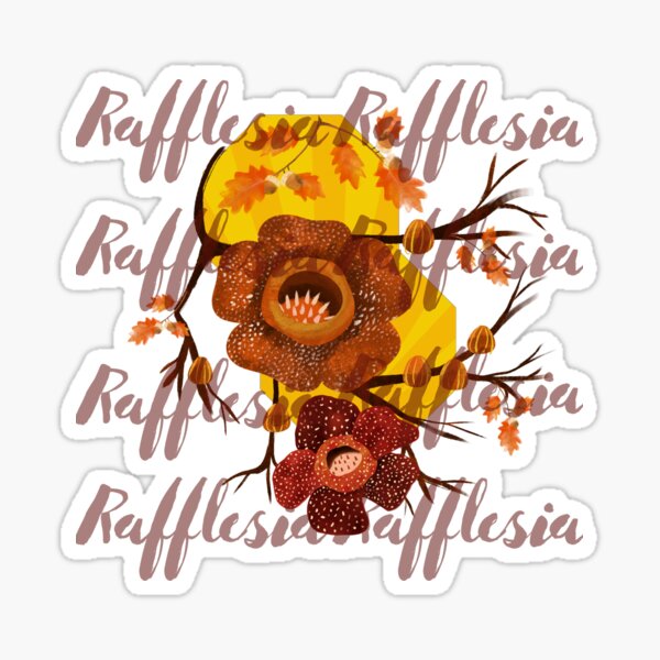 " RAFFLESIA BEAU" Sticker for Sale by GoMoni | Redbubble