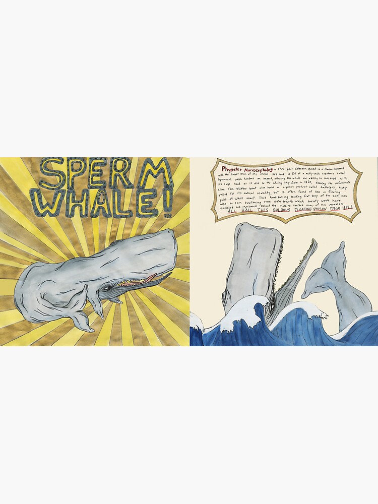 "Sperm Whale illustration, ink, watercolor" Sticker for Sale by ...