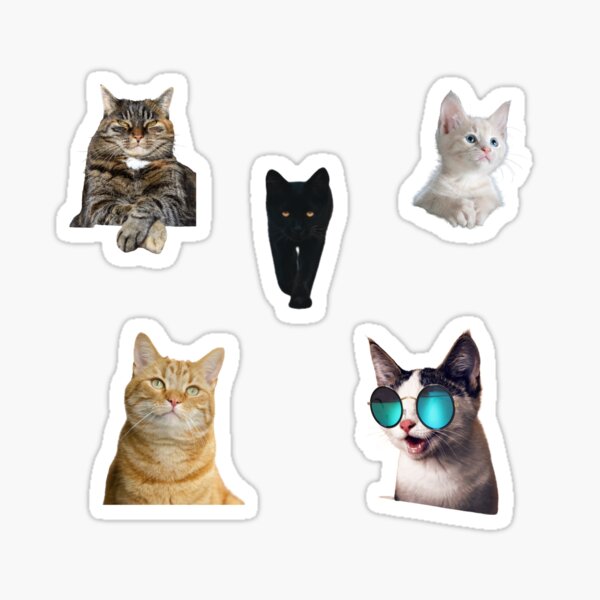 "Cats" Sticker for Sale by Thailafox | Redbubble