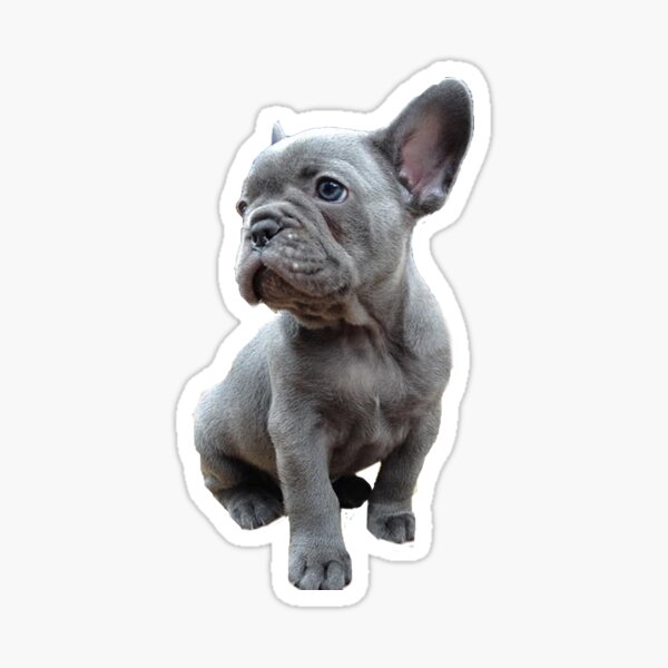 Frenchie Stickers | Redbubble