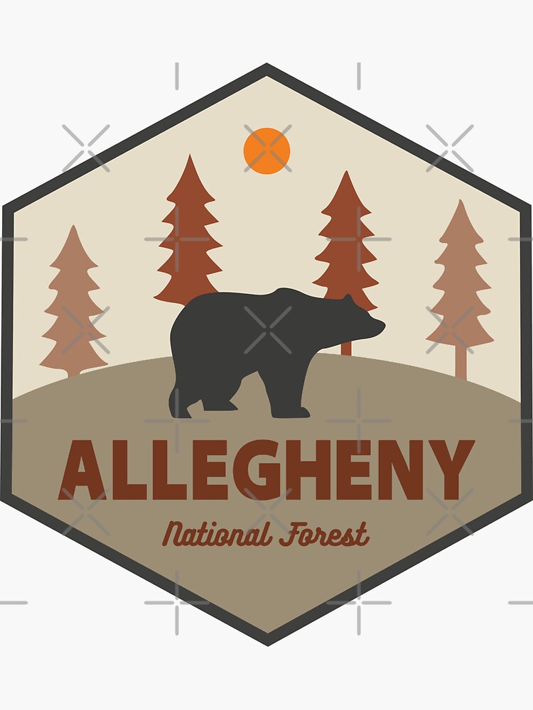"Allegheny National Forest Bear" Sticker for Sale by esskay | Redbubble