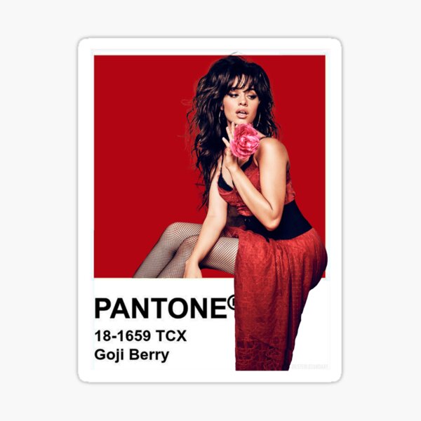 "Pantone Project x Goji Berry" Sticker for Sale by esterlozano | Redbubble
