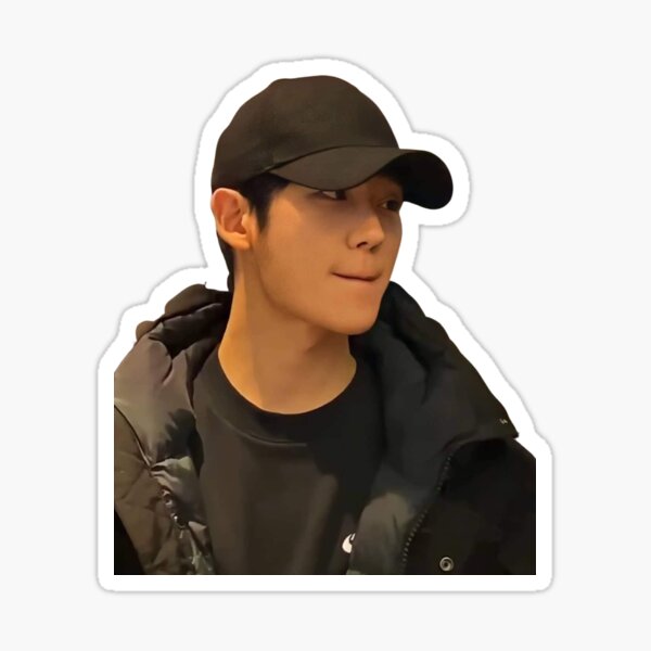 "Jung Hae In" Sticker for Sale by shoppinggalore | Redbubble