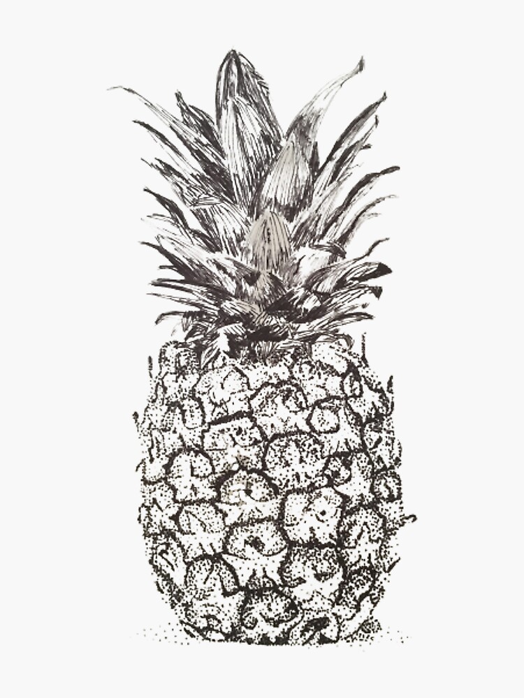 "Pineapple Drawing with Black Ink" Sticker for Sale by Mayoungg | Redbubble