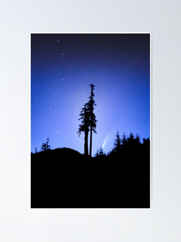 "Comet Neowise Old Growth Forest" Poster for Sale by JenneRPhoto ...