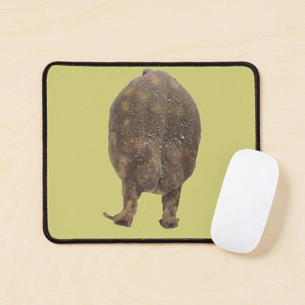 Frog Butt Art Board Print For Sale By Marimomo Redbubble