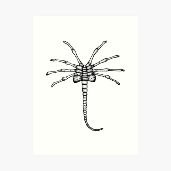 "ALIEN FACEHUGGER" Art Print for Sale by manelwoodcutter | Redbubble