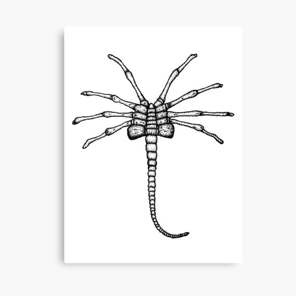 "ALIEN FACEHUGGER" Canvas Print for Sale by manelwoodcutter | Redbubble