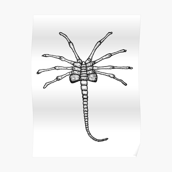 "ALIEN FACEHUGGER" Poster von manelwoodcutter | Redbubble