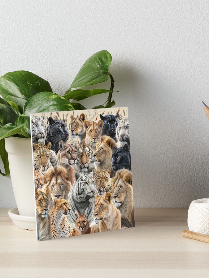 "Roaring Majesties: A Collage of the World's Big Cats. Lions, leopards ...