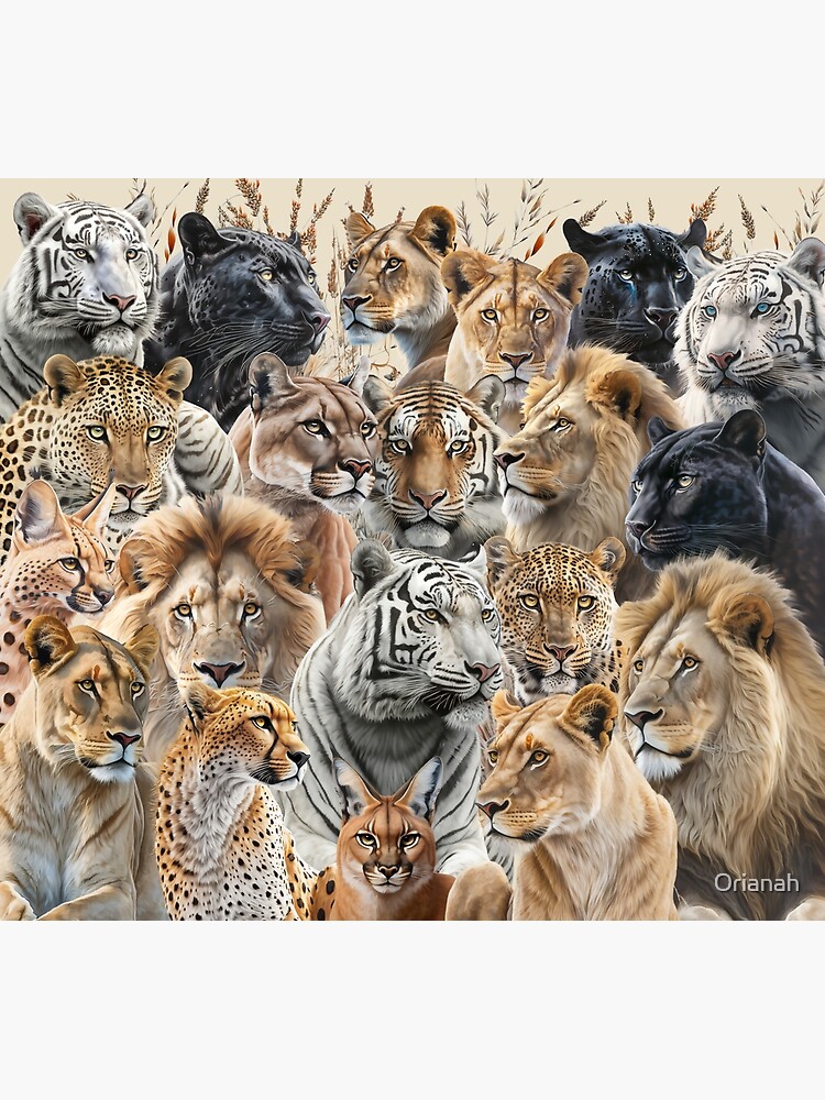 "Roaring Majesties: A Collage of the World's Big Cats. Lions, leopards ...