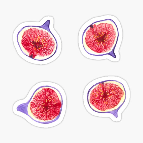 "Hand painted watercolor figs pattern " Sticker for Sale by ferooo2005 ...