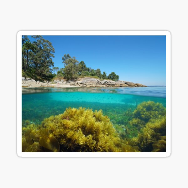 "Atlantic coast and algae in the ocean Spain Galicia" Sticker for Sale ...