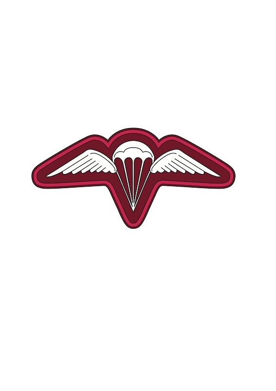 "3 RAR wings" by rpw-acf | Redbubble