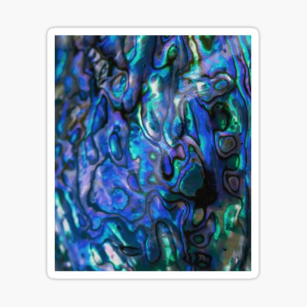 "Polished Paua Abalone Shell, Abstract Paua Abalone Shell Texture ...