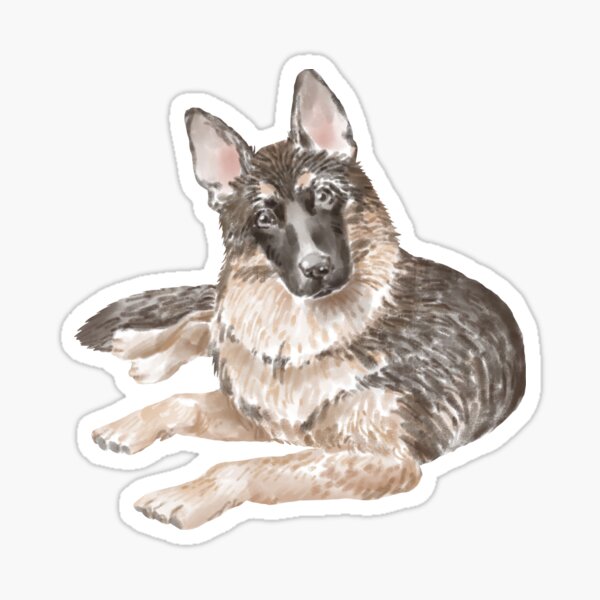 "GSD Laying Down" Sticker for Sale by WolfCrow | Redbubble