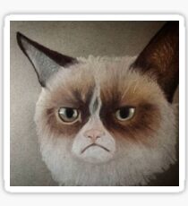 Grumpy Cat Stickers | Redbubble
