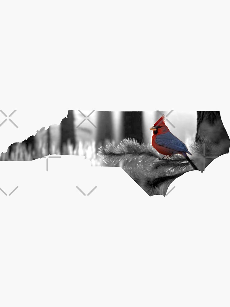 "North Carolina, Northern Cardinal" Sticker for Sale by BoodlesDesigns ...