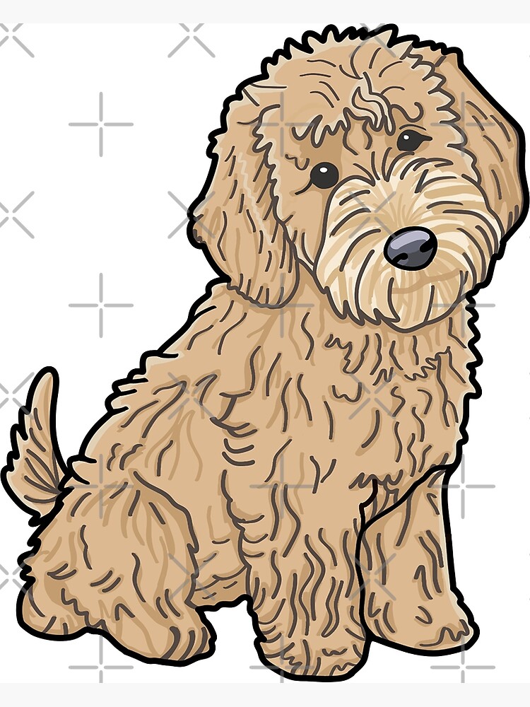 "Golden Doodle Dog / Goldendoodle" Poster for Sale by Isabelle-Anne ...