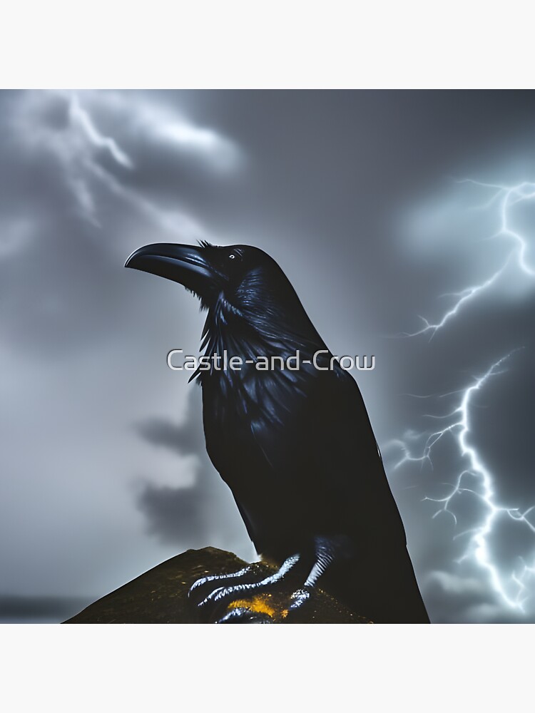 "Crow in the Storm" Sticker for Sale by Castle-and-Crow | Redbubble
