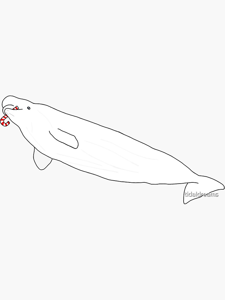 "Nunavik Beluga with Candy Cane " Sticker for Sale by tidaldreams ...