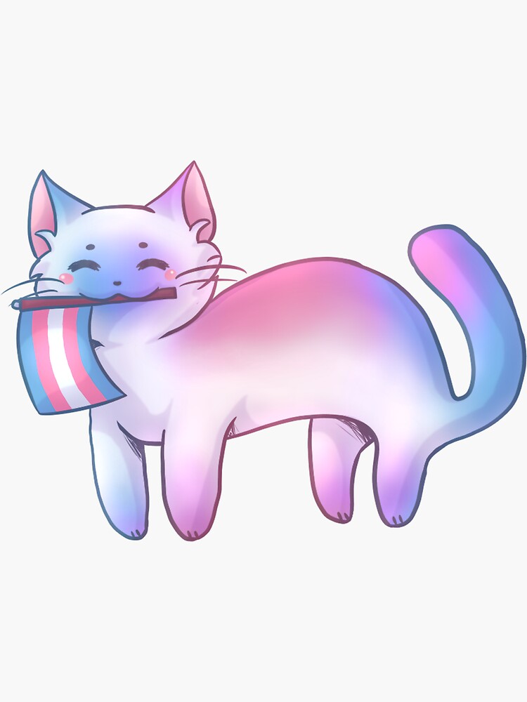 "Transgender Pride Cat 2022" Sticker for Sale by strwbrykitty | Redbubble