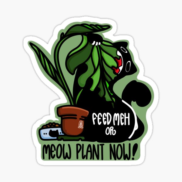 "FEED ME cat" Sticker for Sale by ZenPanda0 | Redbubble