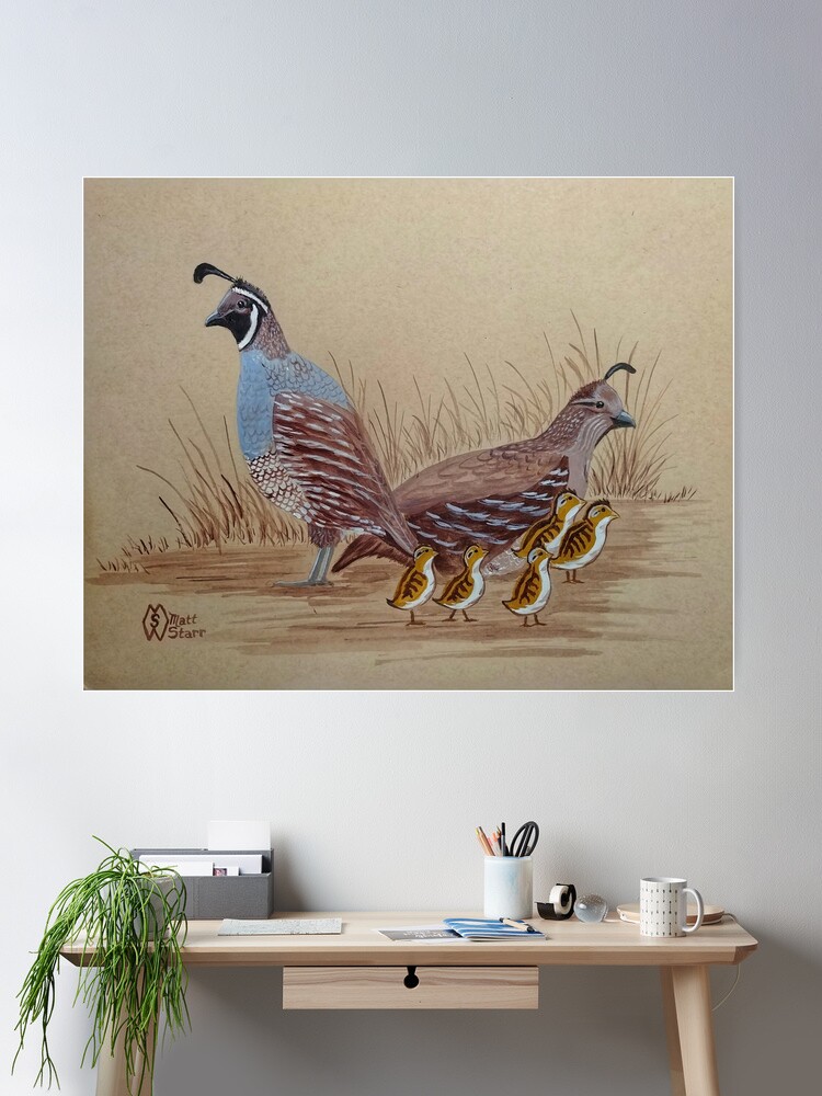 Indian Quail Art