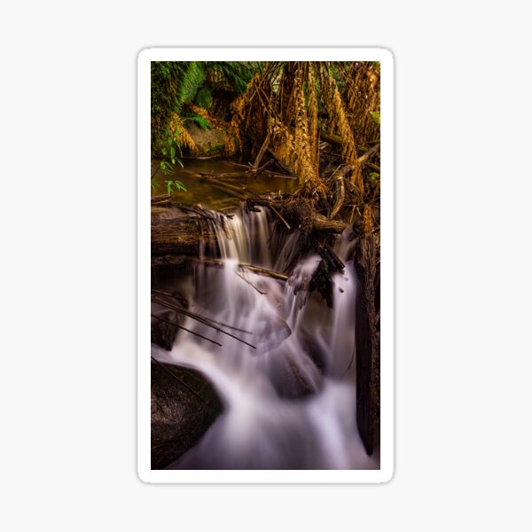 "Waterfalls VIC Australia" Sticker for Sale by SFridlind | Redbubble