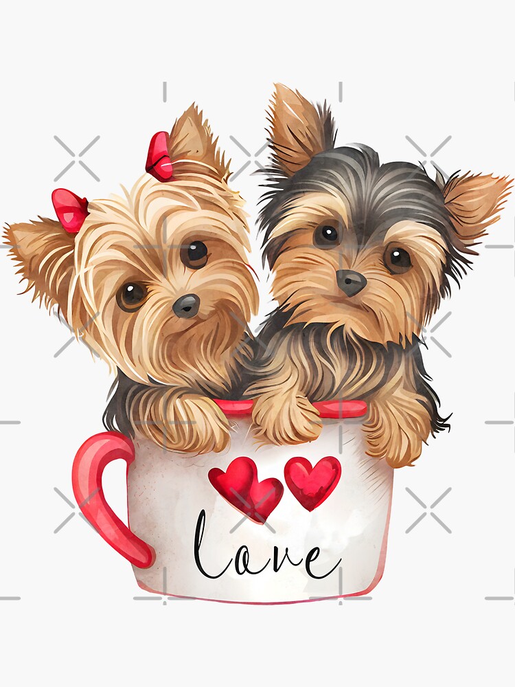 "Valentine’s Day,Cute Teacup Yorkie in a cup, My Dogs are my Valentine ...