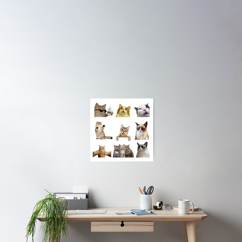 "Cat meme sticker pack" Poster for Sale by MacraeGraphics | Redbubble