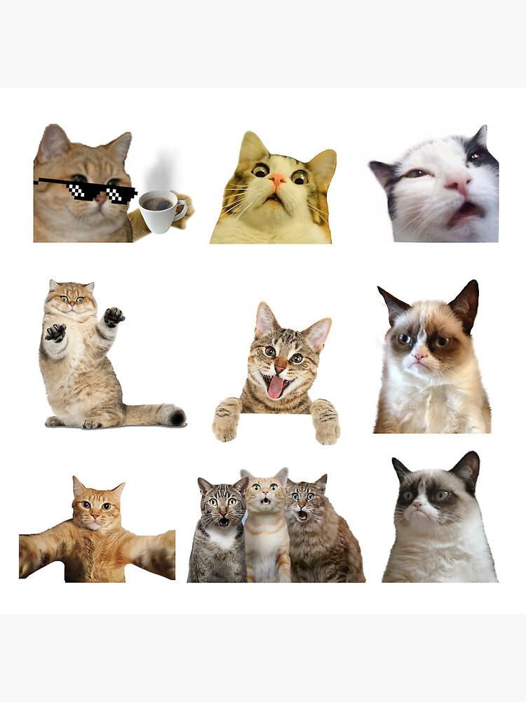 "Cat meme sticker pack" Poster for Sale by MacraeGraphics | Redbubble