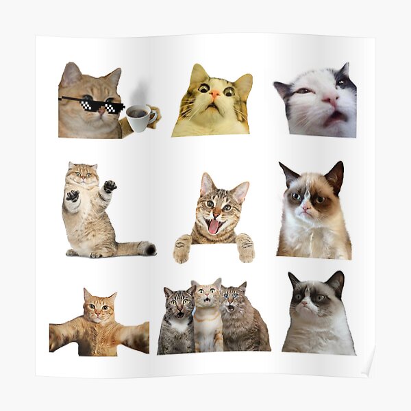 "Cat meme sticker pack" Poster for Sale by MacraeGraphics | Redbubble