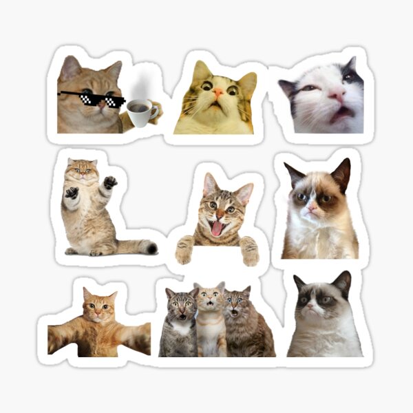 "Cat meme sticker pack" Sticker for Sale by MacraeGraphics | Redbubble