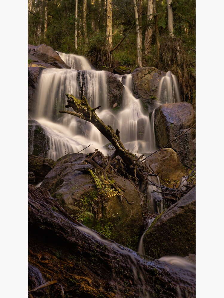 "Waterfalls - Toorongo Falls Reserve, Australia, Victoria" Sticker for ...