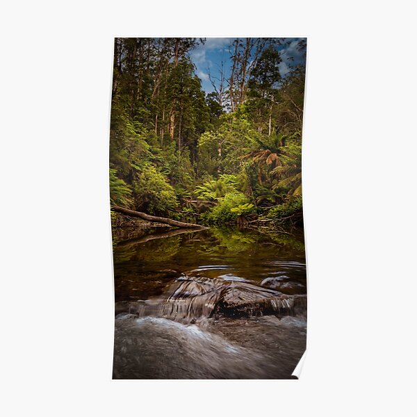 "Waterfalls - Morwell River Falls Reserve, Australia, Victoria" Poster ...