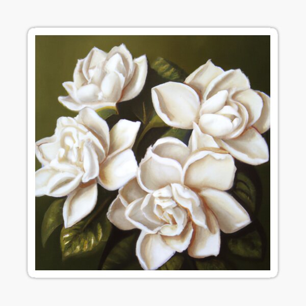 "Gardenia Flowers" Sticker for Sale by brandonv111 | Redbubble