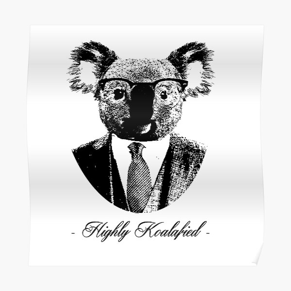"Highly koalafied" Poster for Sale by wardraw | Redbubble